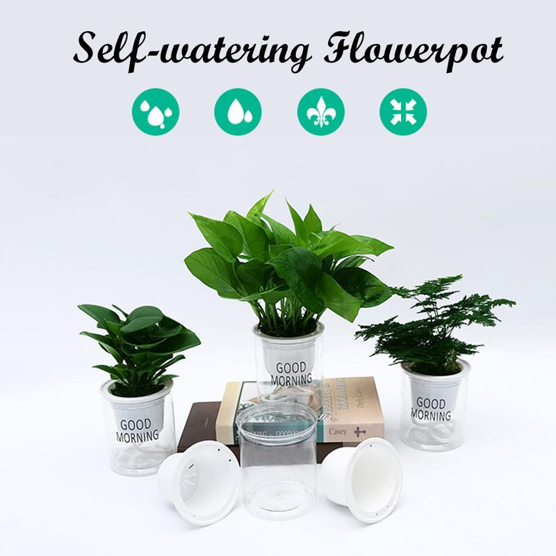Portable Hot Transparent Round Cute Succulent Plants Plastic Hydroponic ...