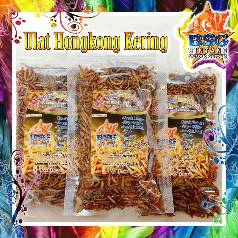 ulat hongkong kering / makanan hewan / sugar glider / hamster - Shop ...