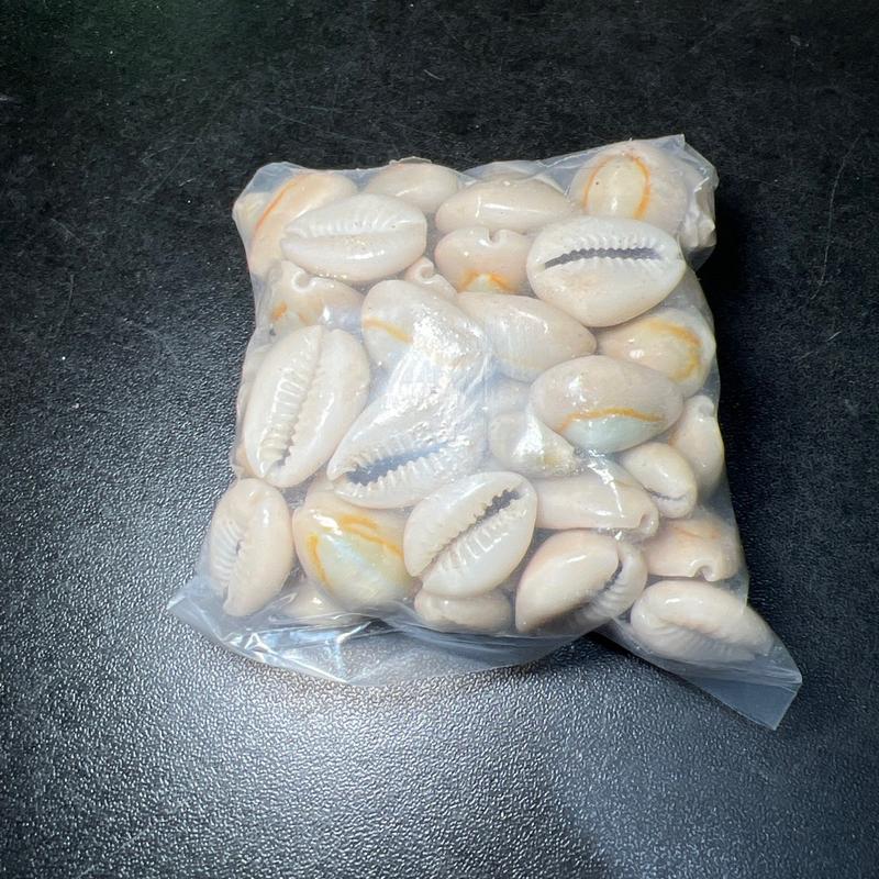Kerang kuwuk congklak 100 gr - Shop | Tokopedia