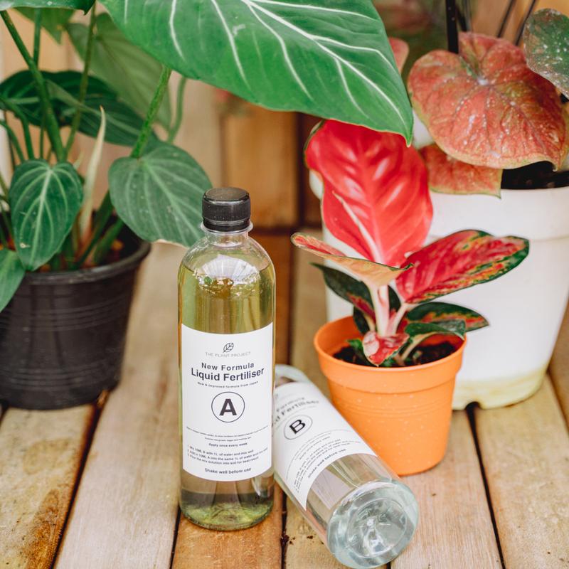 AB Liquid Fertilizer Baja A B Liquid Fertiliser AB for Monstera ...