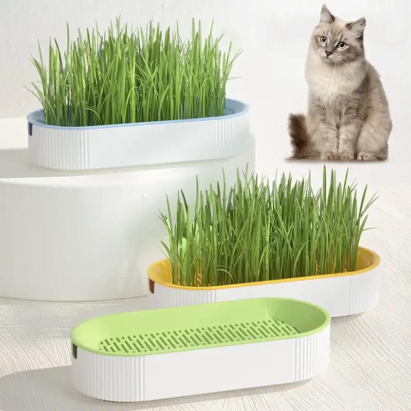 Pet Cat Sprout Dish Growing Pot Hydroponic Plant Cat Grass Germination ...