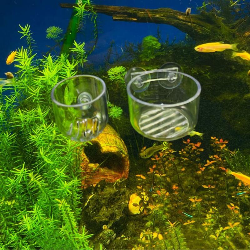 Besen Landskap, Set 3 PCS, Akuatik, Tumbuhan Makanan, Pasu Kaca ...