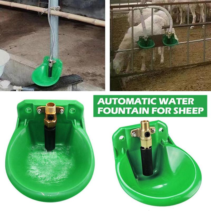 Automatic Durable Sheep Drinker Cup Catter Goat Drinking Bow - TikTok ...