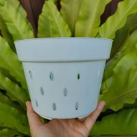 Jual POT POROS BASIC 20 BANYAK LUBANG : pot bunga banyak pori pot ...