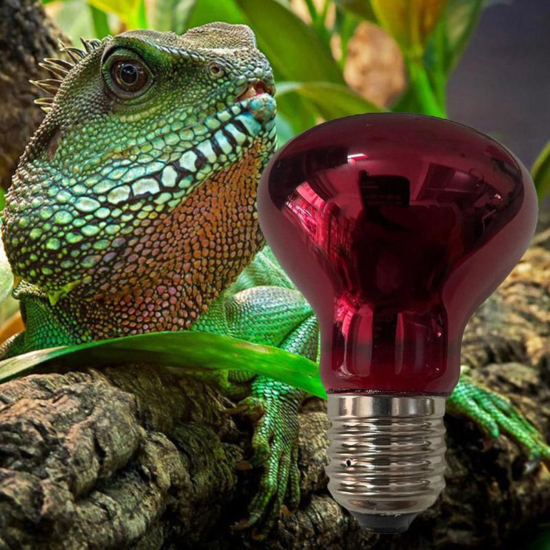 Amphibian Snake Reptile Light Bulb Heat Night Light Day 55g Ceramic ...