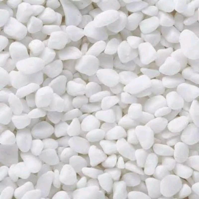 Batu Koral Putih Salju Hiasan Akuarium dan Taman 1 Kg - Shop | Tokopedia