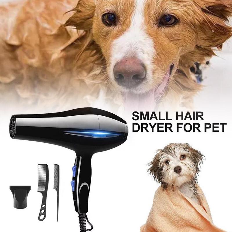 Pengering Rambut Mini Haiwan Peliharaan, 1 keping, Pengering - TikTok ...
