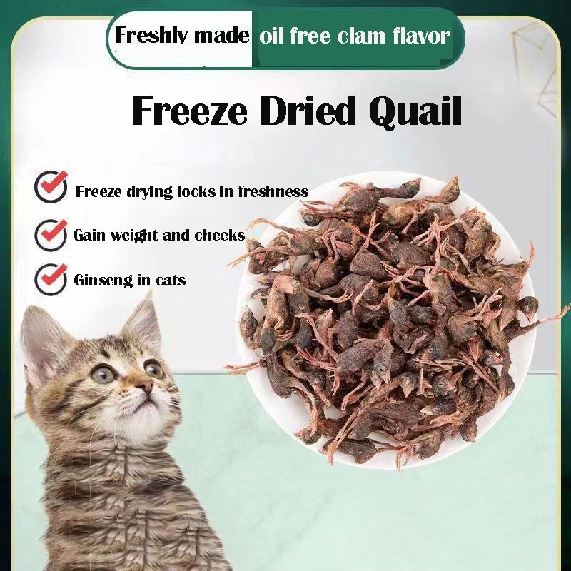 Casual Freeze Dried Baby Quail Cat Treats Dog Treat 100g FreezeDried ...