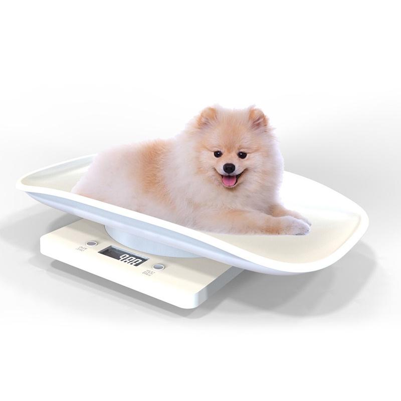 Digital Scale High Precision Dogs Cats Animal Scale Gram Electronic ...