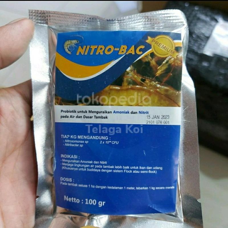 Nitrobac Nitobacter Bacteri Starter 100 gram - Shop | Tokopedia