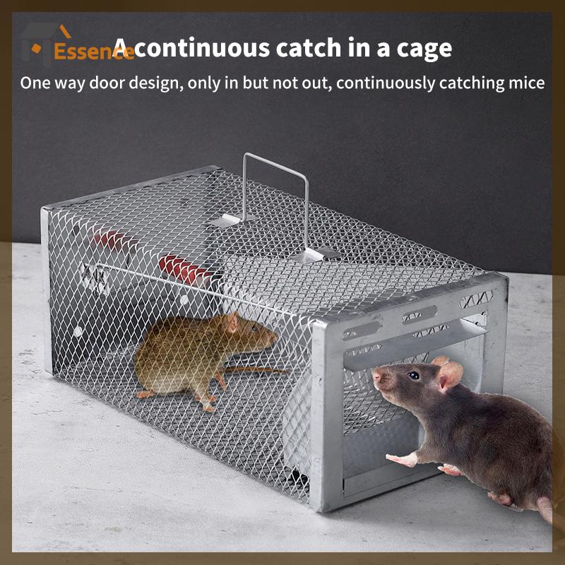 Perangkap Tikus, Reka Bentuk Multi-Catch, Sesuai untuk Kawalan - TikTok ...