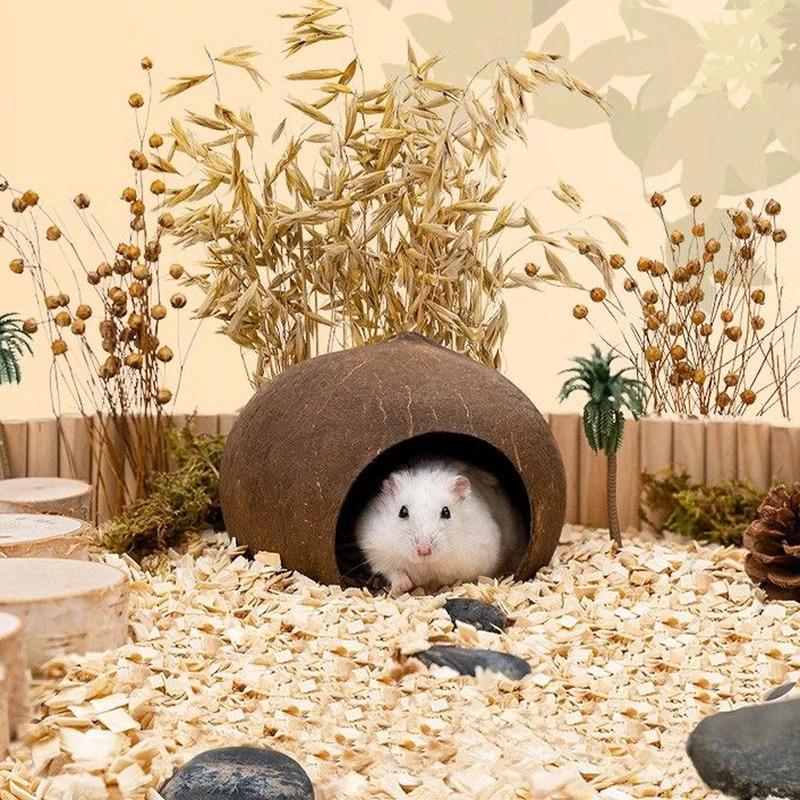 coconut shell shelter, hamster, reptile, small pet resting place ...