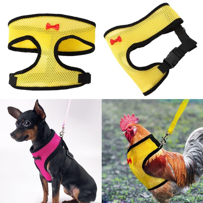 Nylon Adjustable Duck Goose Chicken Vest Hen Belt Harness Pe - TikTok ...