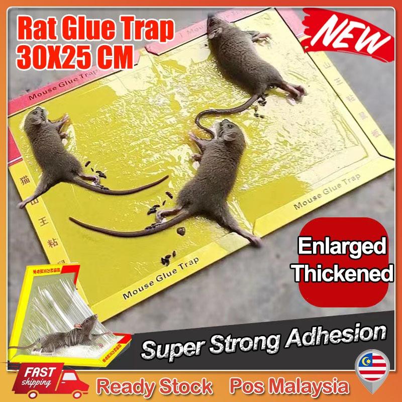 Super Glue Mouse Trap Snake Bugs Rat Mice Catcher Board Foldable ...