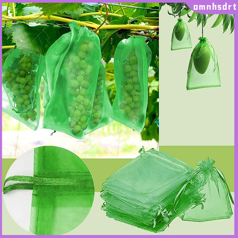 omnhsdrt- Fruit Protection Bags Mesh Fruit Protectors 100pcs - TikTok ...