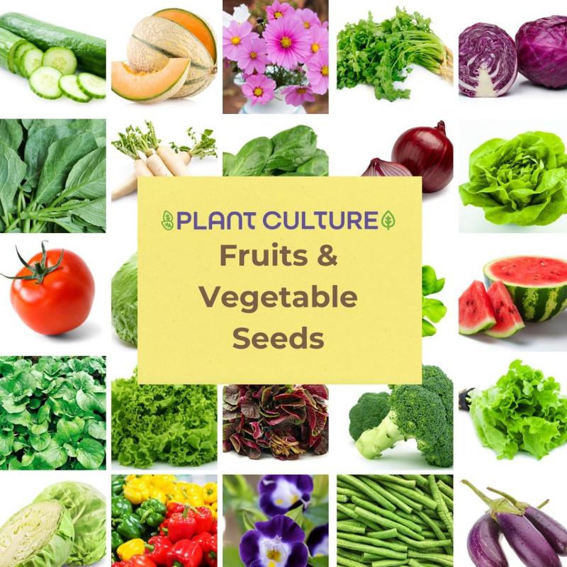 Plant Culture Fruits and Vegetable Seeds - TikTok Shop Philippines