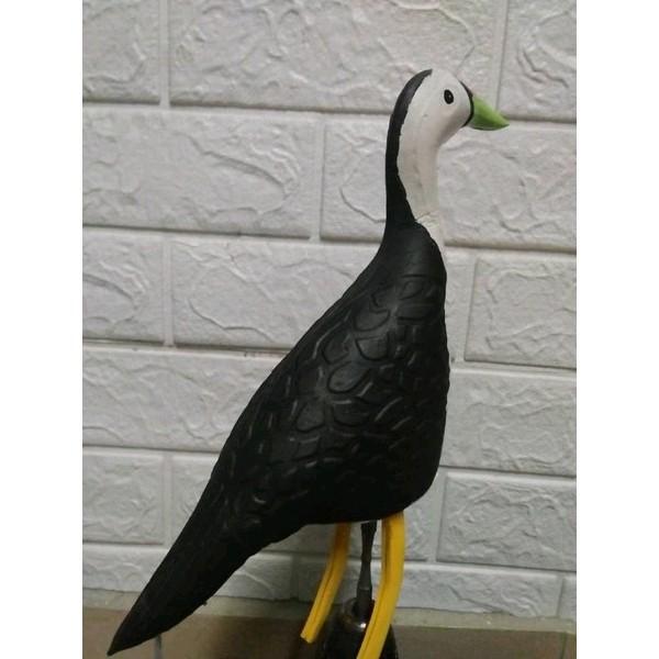 PATUNG DECO BURUNG WAK WAK - TikTok Shop Malaysia