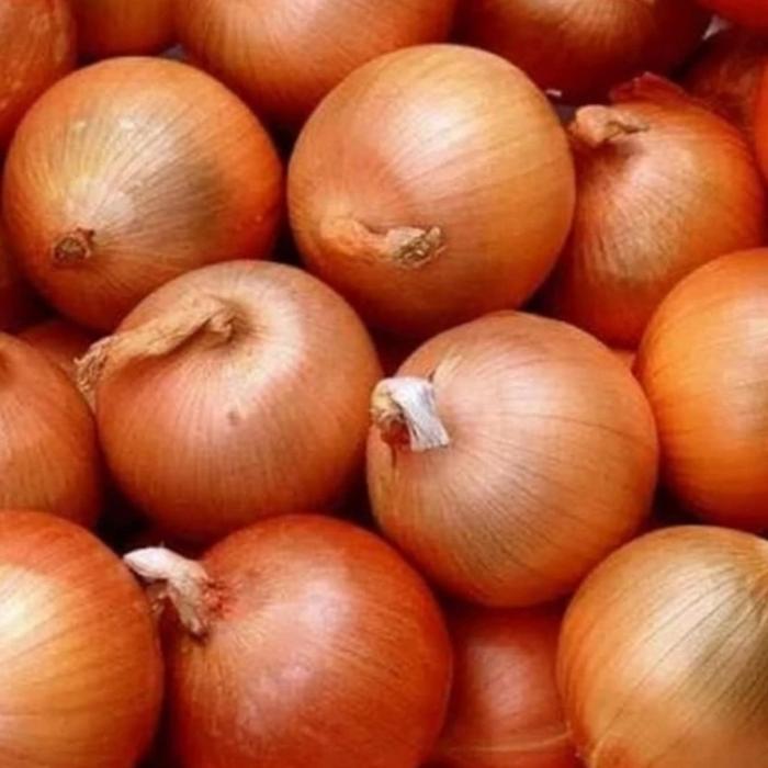 bawang bombay besar 1 kg super - Shop | Tokopedia