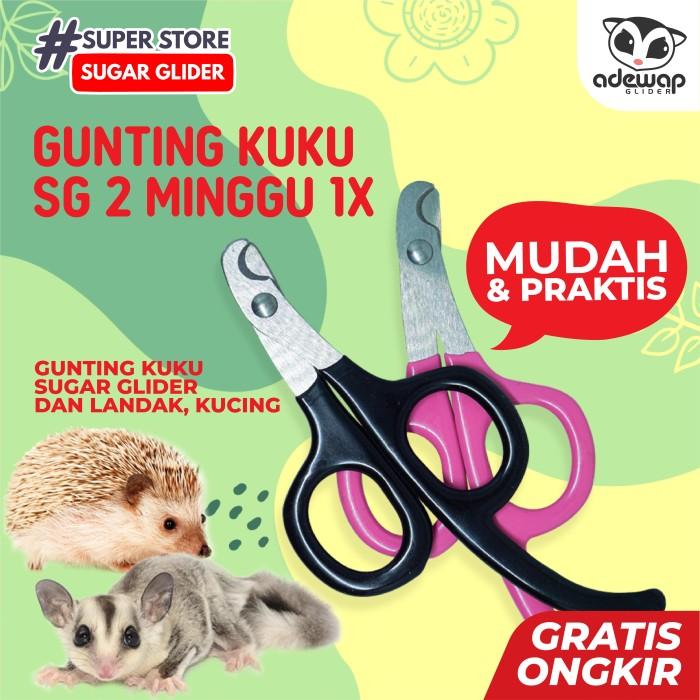 Gunting Kuku Hewan Nail Clippers kucing Reptil Sugar Glider SG Kelinci ...