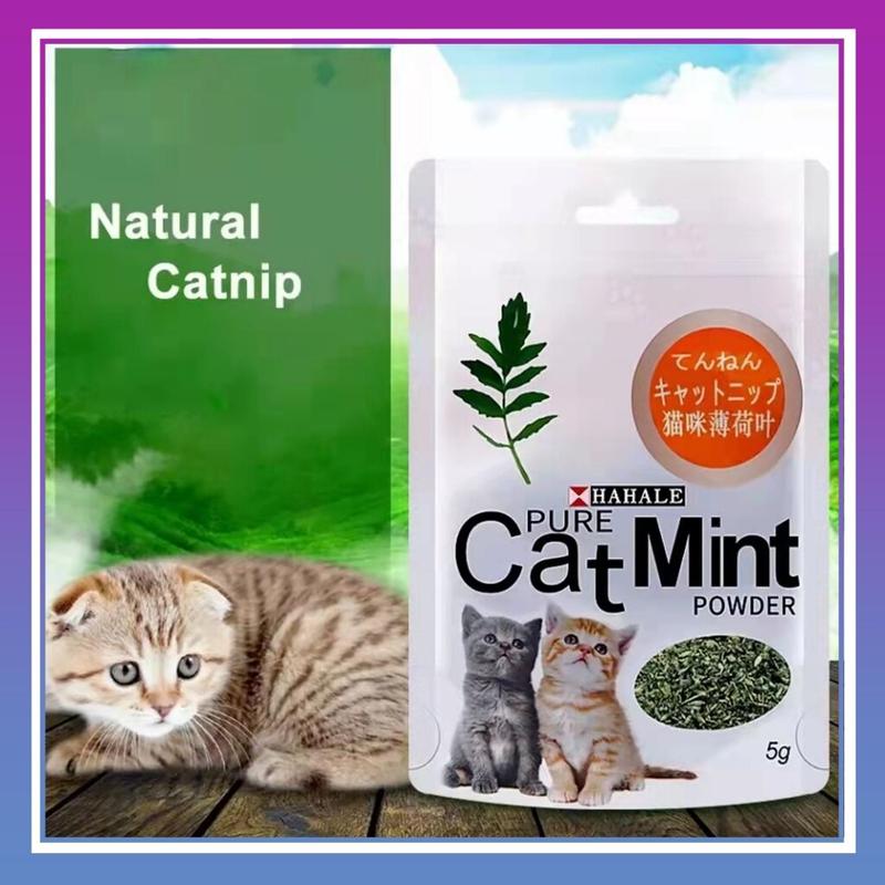 Natural Organic Pet Cat Mint Catnip Cat Treats Catnip Kucing - TikTok ...