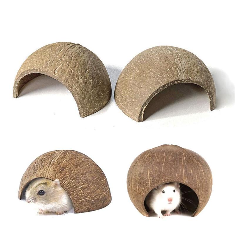 Creative Natural Coconut Shell Coconut Shell Hamster Nest Bite ...