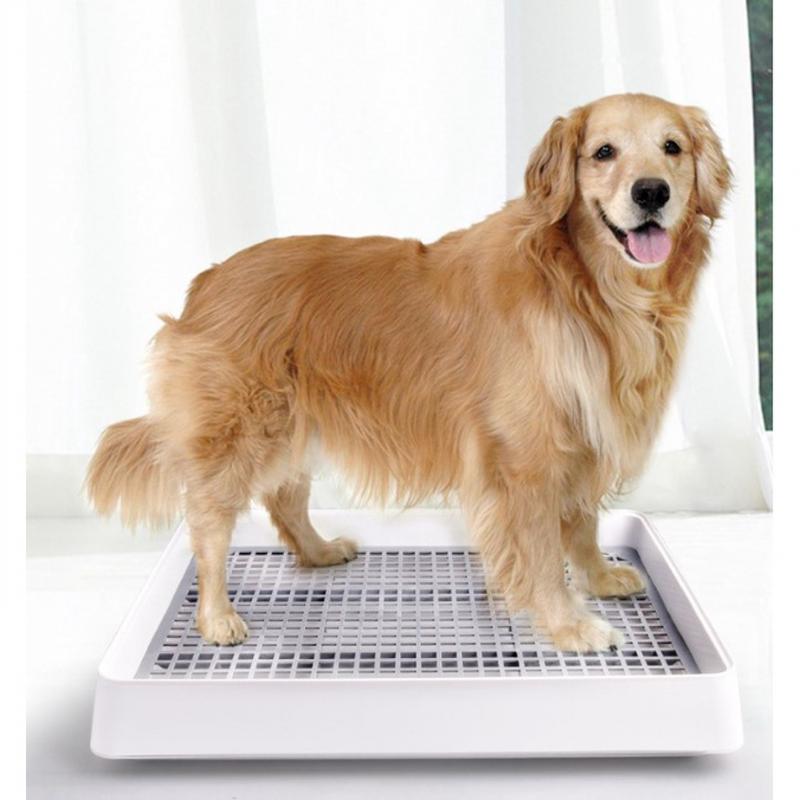 [SG STOCK] Dog Large Pee Tray / Grey Pee Pad Pan Tray / Dog Toilet ...