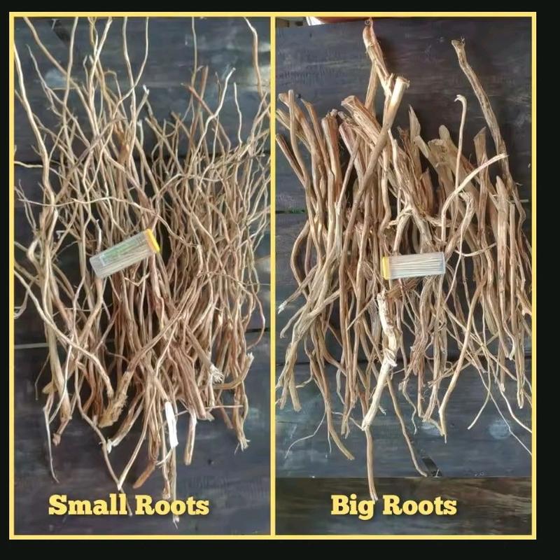 Root Bundle for Aquascape and tank decorations - TikTok Shop Philippines