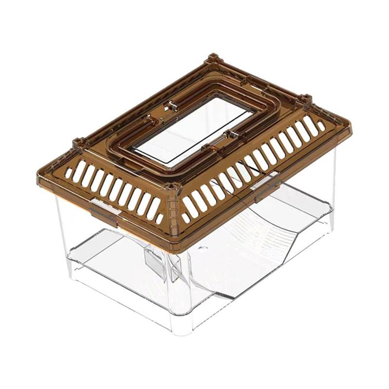 Tangki Penyu, Lutsinar, dengan Platform Meletak, Tangki Ikan - TikTok ...