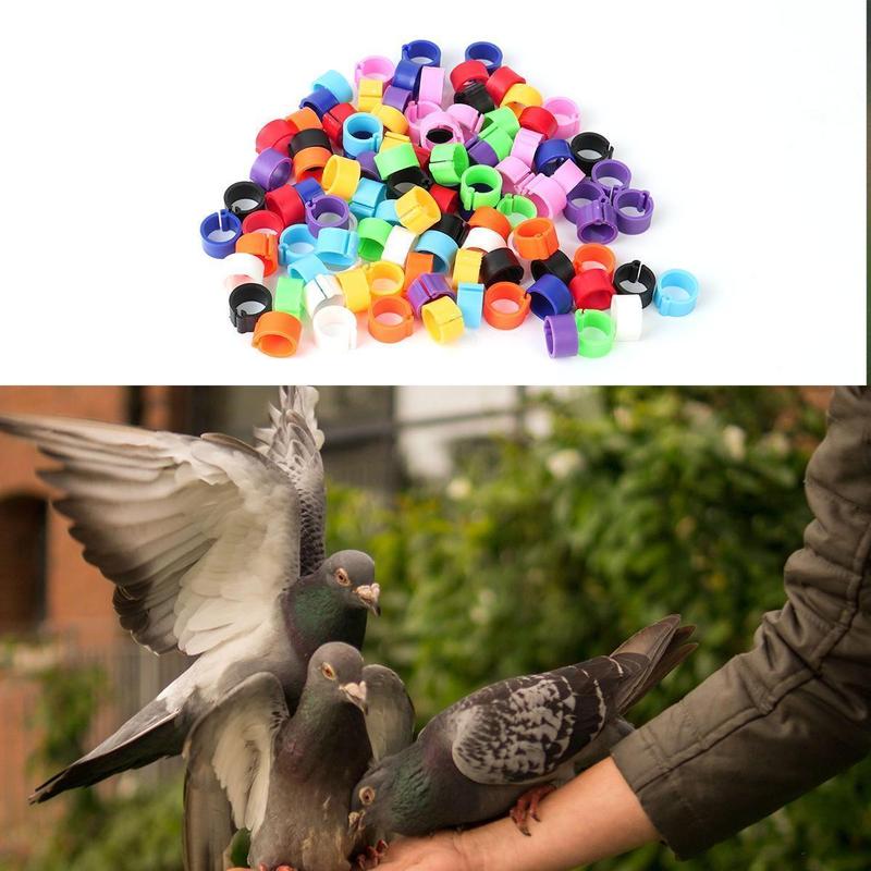 8#-7 No-word bayonet identification ring pigeon foot ring carrier ...
