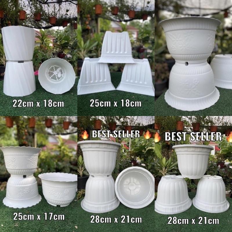 PASU PUTIH PELBAGAI DESIGN Pot Bunga Garden Pasu - TikTok Shop Malaysia