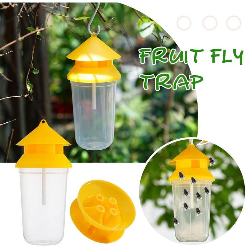 Fruit Fly Orchard Vegetable Plot Melon Orange Small Sharp Lure - TikTok ...