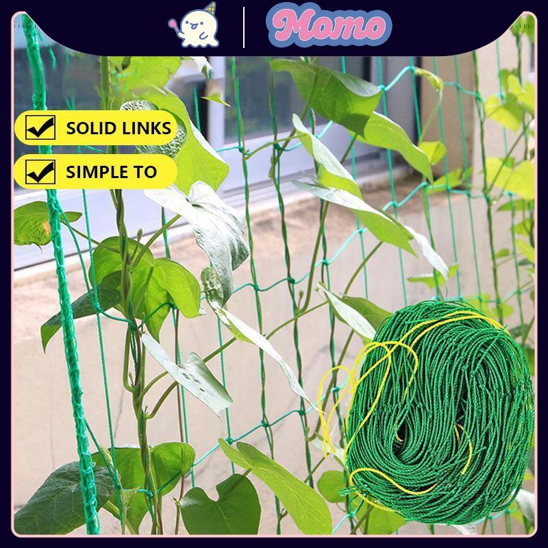 Manila 24-hour shipping Horticultural net Planting protectiv - TikTok ...