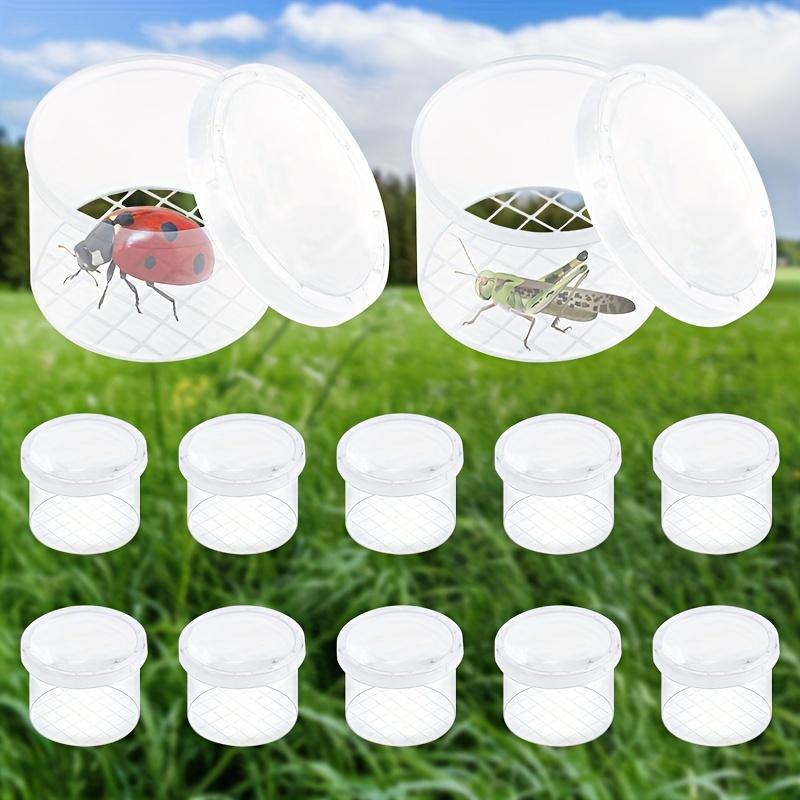 Set of 12 Plastic Insect Observation Cups with Magnifying Glass ...