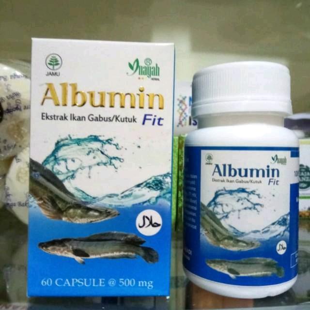Ekstrak ikan gabus albumin fit 60 kapsul - Shop | Tokopedia