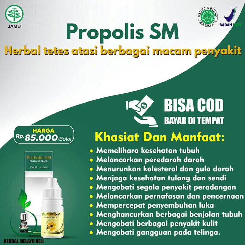 Herbal Melayu Deli - Propolis Sm Brazilian 100% Asli Dari Ekstrak ...