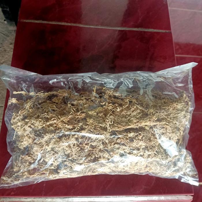Jual spaghnum mos 50 gr media tanam impor lumut putih kering anggrek ...