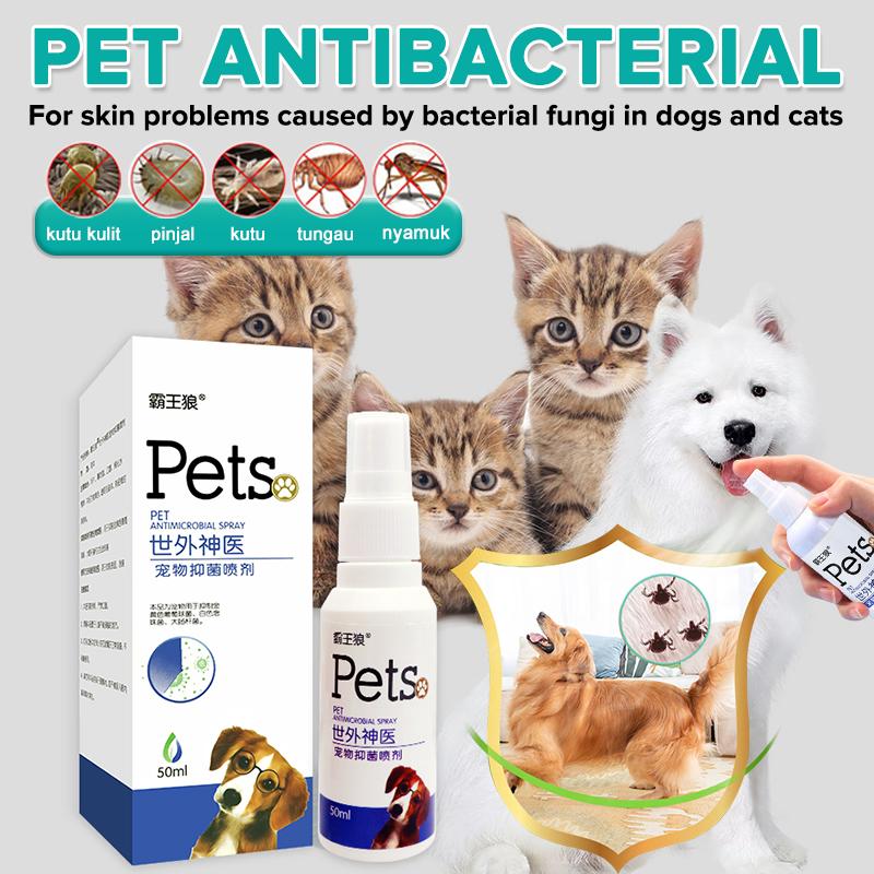 Pet Skin Treatment for dogs Pet Anti fungal Spray Dog Skin Disease ...