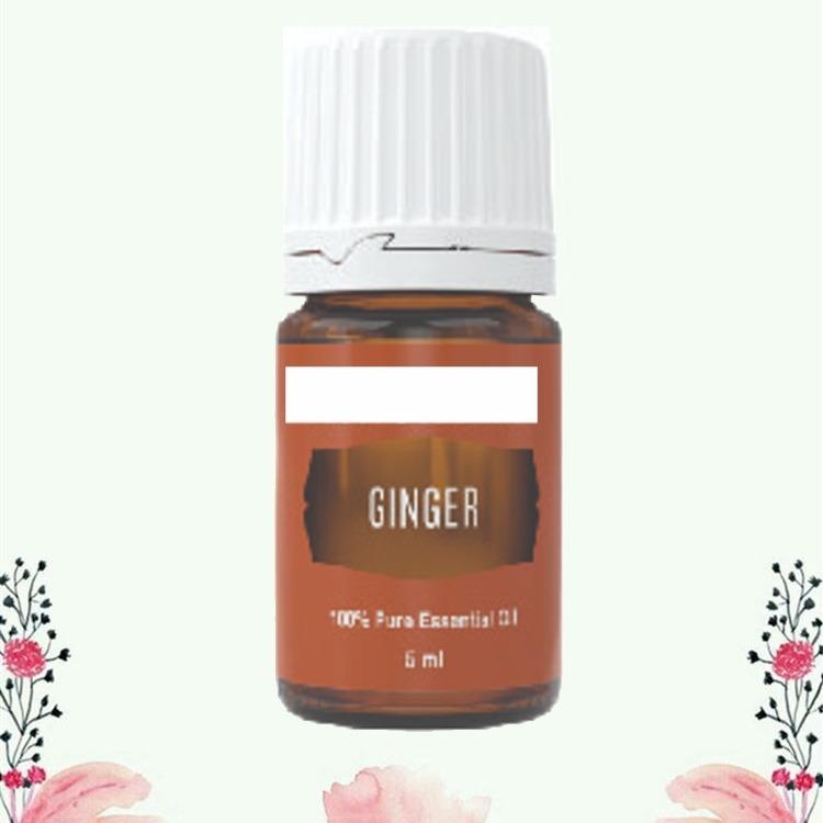 Young Living YL Ginger Essential Oil 5ml - TikTok Shop Malaysia