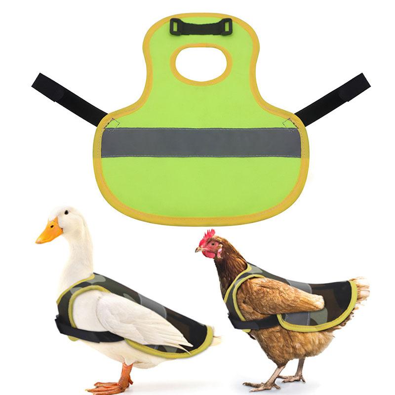 Pet night protective clothing, chicken reflective vest, chicken ...