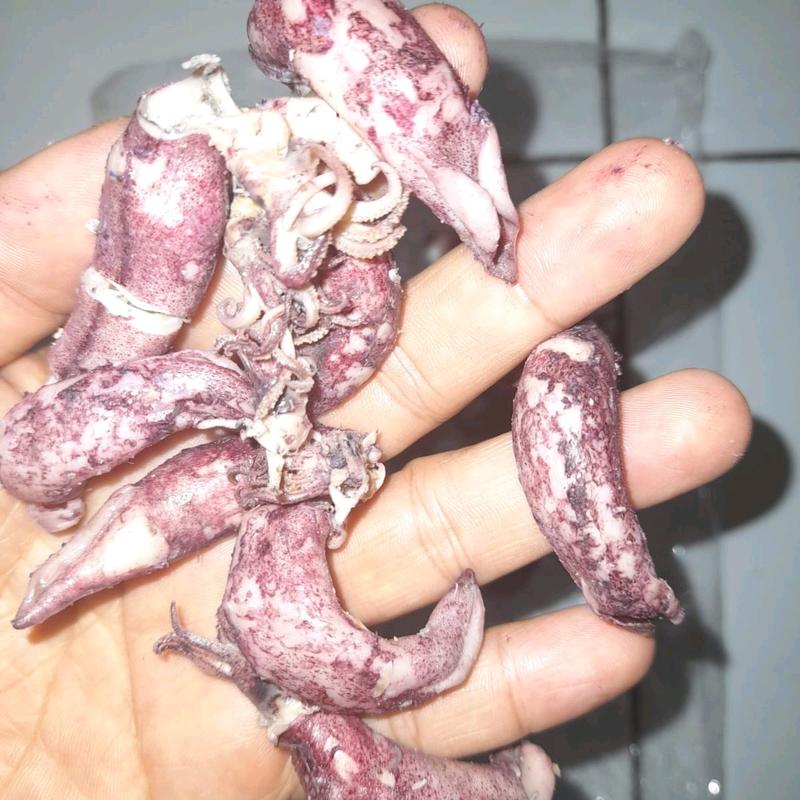 cumi asin telor - Shop | Tokopedia