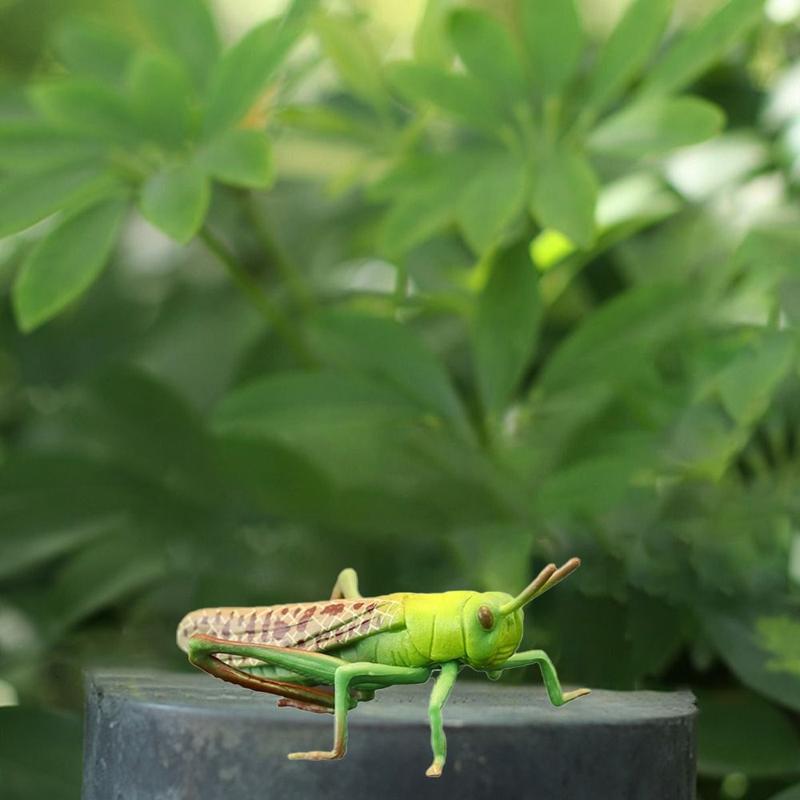 2Pcs Funny Plastic Locust Animal Model Vivid Early Educational - TikTok ...