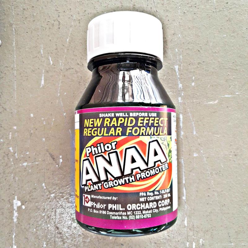 PHILOR ANAA (250mL) ROOTING HORMONE PLANT GROWTH PROMOTER - TikTok Shop ...