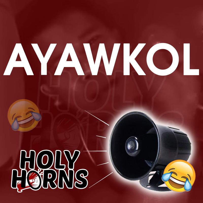 BACKHORN AYAWKOL Backhorn 12v-24v | Breakhorn (for all vehicles ...
