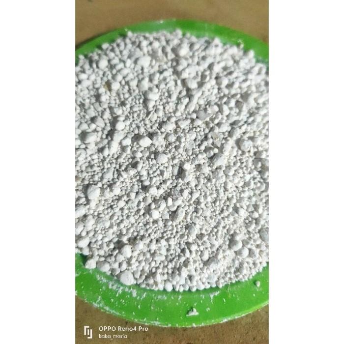 Suplemen Pakan Ternak 1 Kg Kerang Penambah Kalsium Untuk Aya - Shop ...