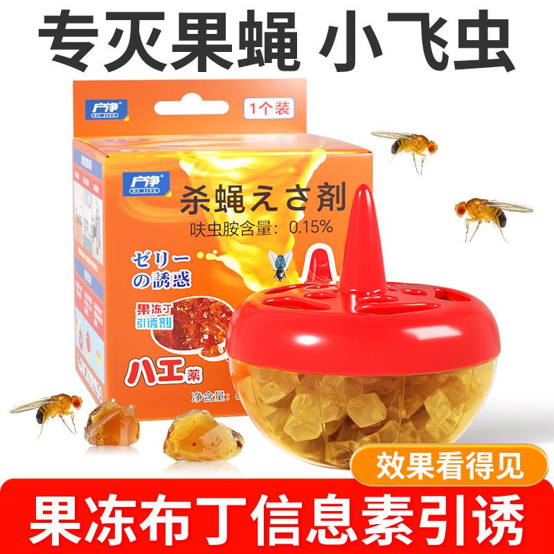 1PC Fly Baits Fly Repellents Fruit Fly Traps Small Flying Insects ...
