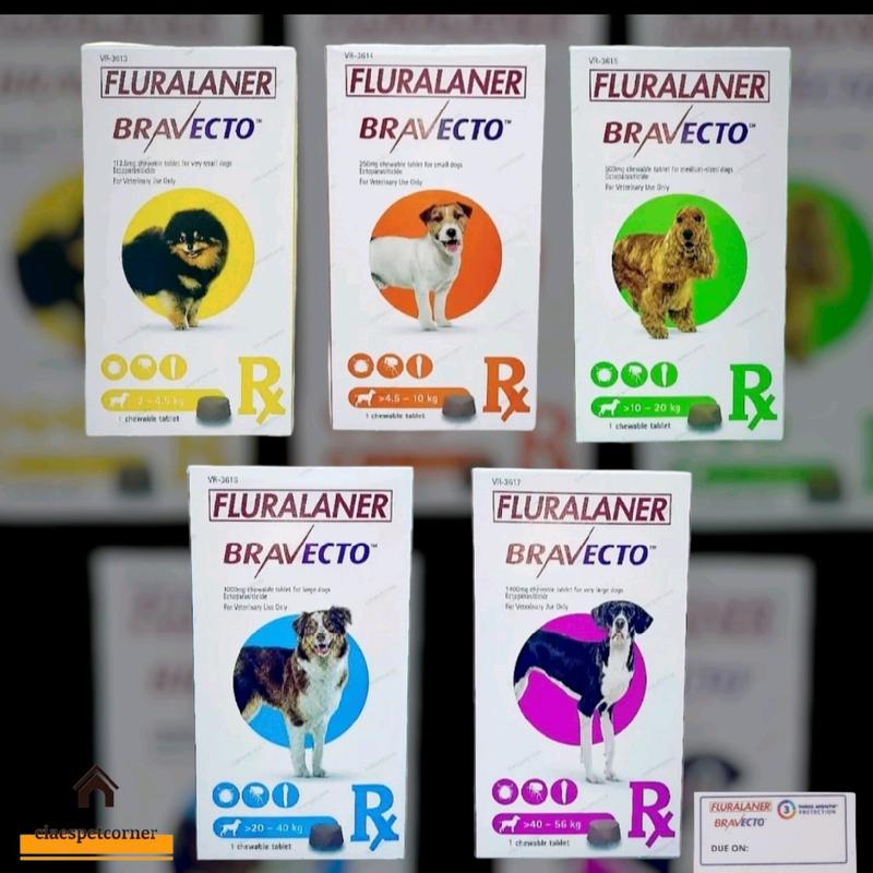BRAVECTO Fluralaner Chewable Tablet for Dog (1tablet with free - TikTok ...