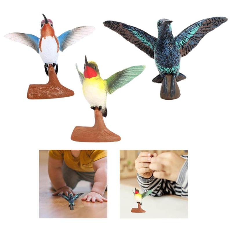 Hummingbird Model Figure Animal Sculpture Realistic Kids Toy - TikTok ...