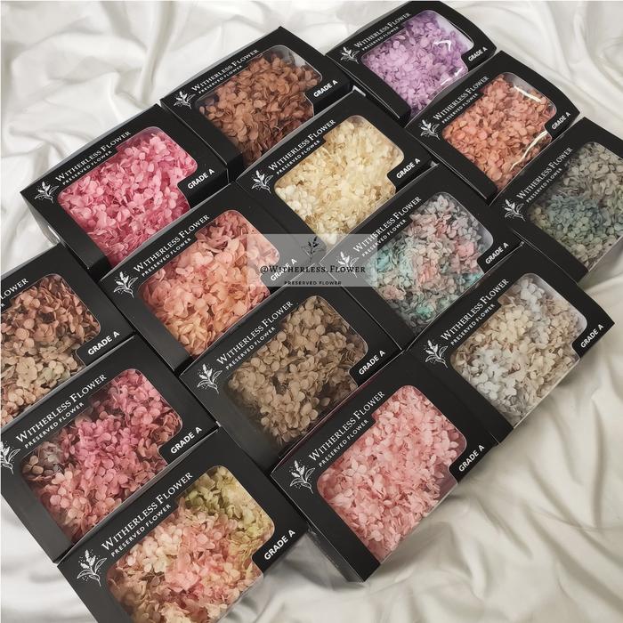 Jual 20 gr Preserved Hydrangea / Dried Flower Awetan / Bunga Kering ...