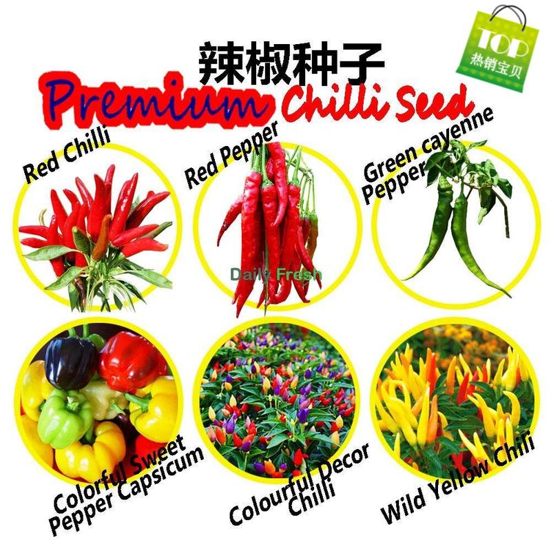 Chilli seed chilli seed/pepper seed/sweet capsicum/green cayenne ...