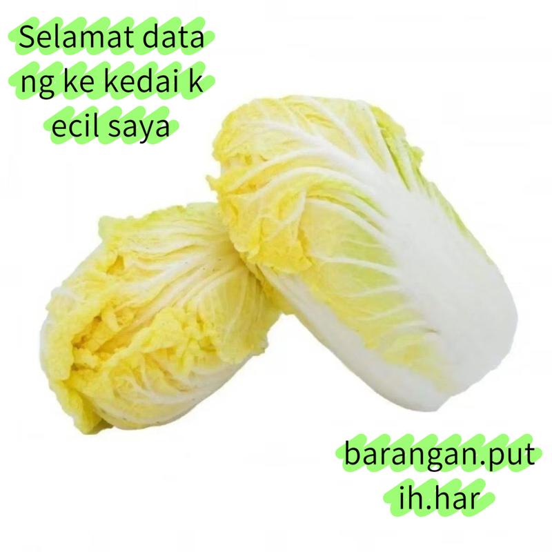 Benih Kubis Bayi, Kubis Bayi Hati Kuning, Kubis Benih, Empat - TikTok ...